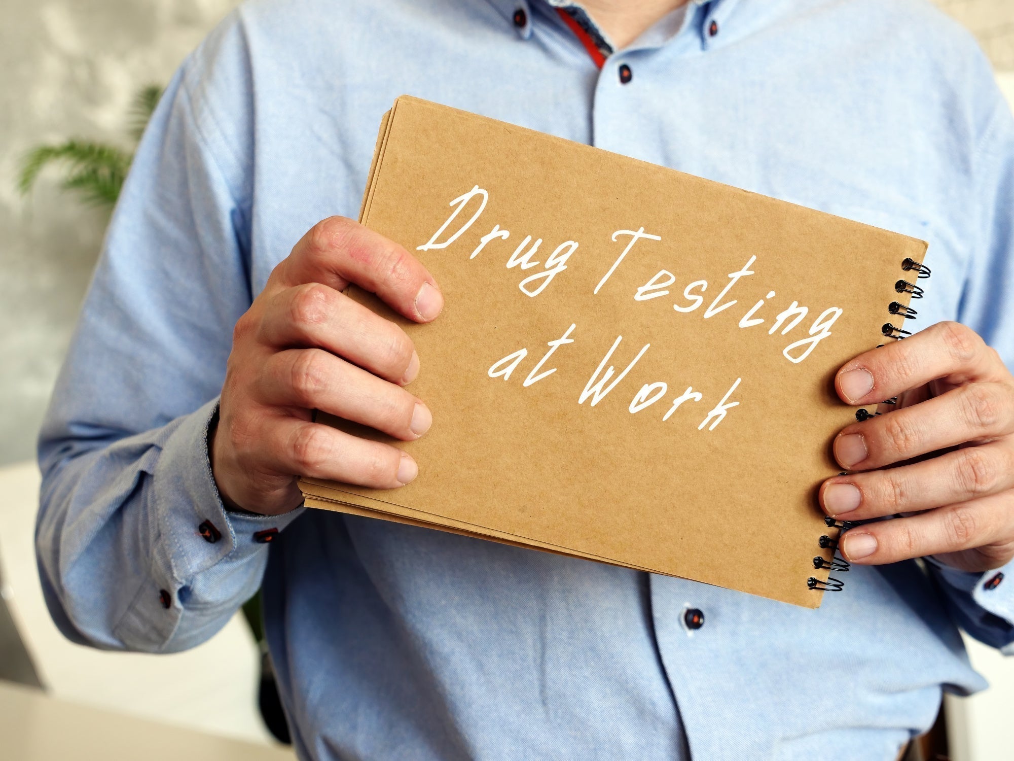Cannabinoids and Drug Test: What to Know About Workplace Safety and ...